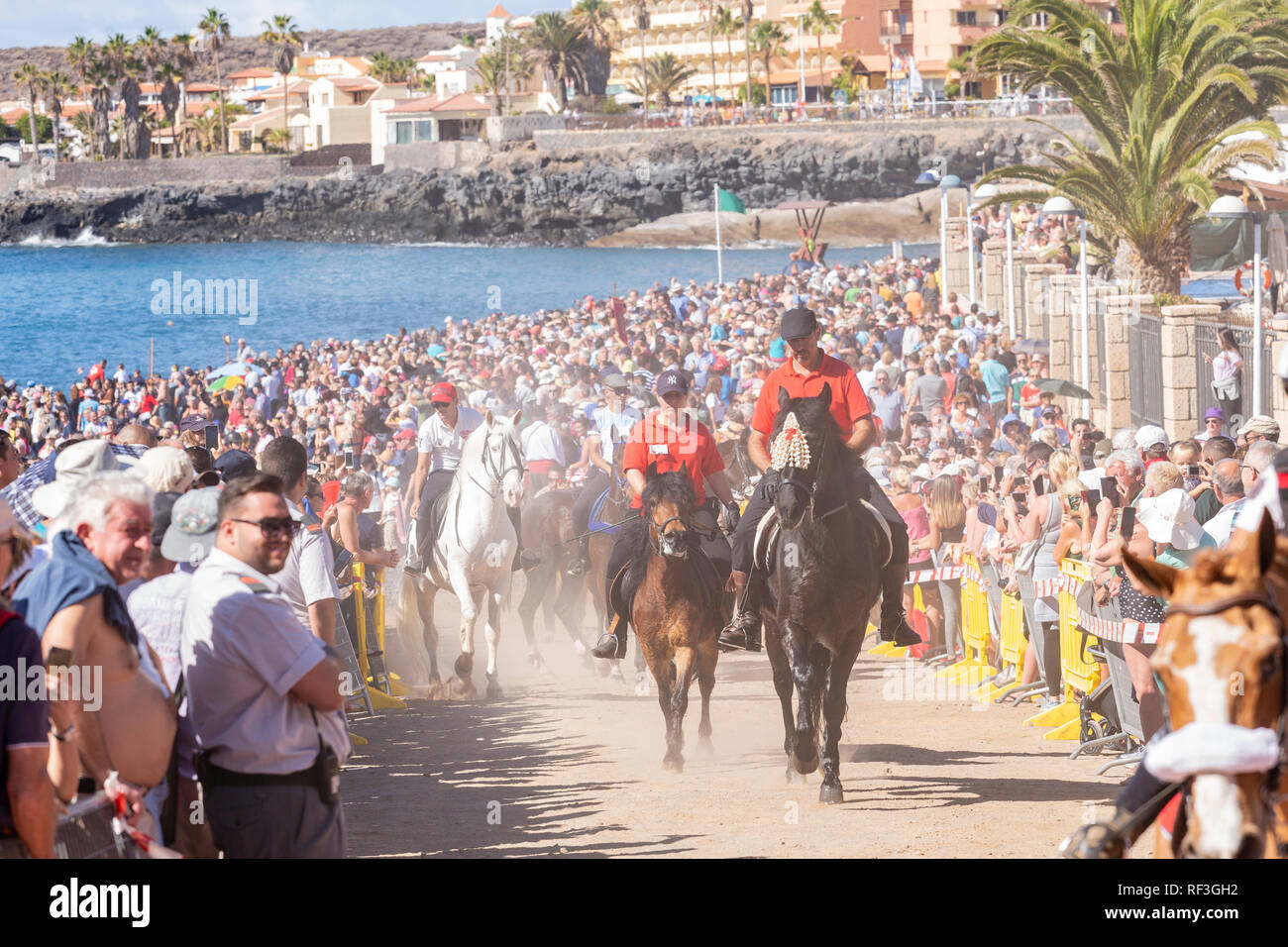 Horses and riders leaving the La Enramada beach after bathing their ...