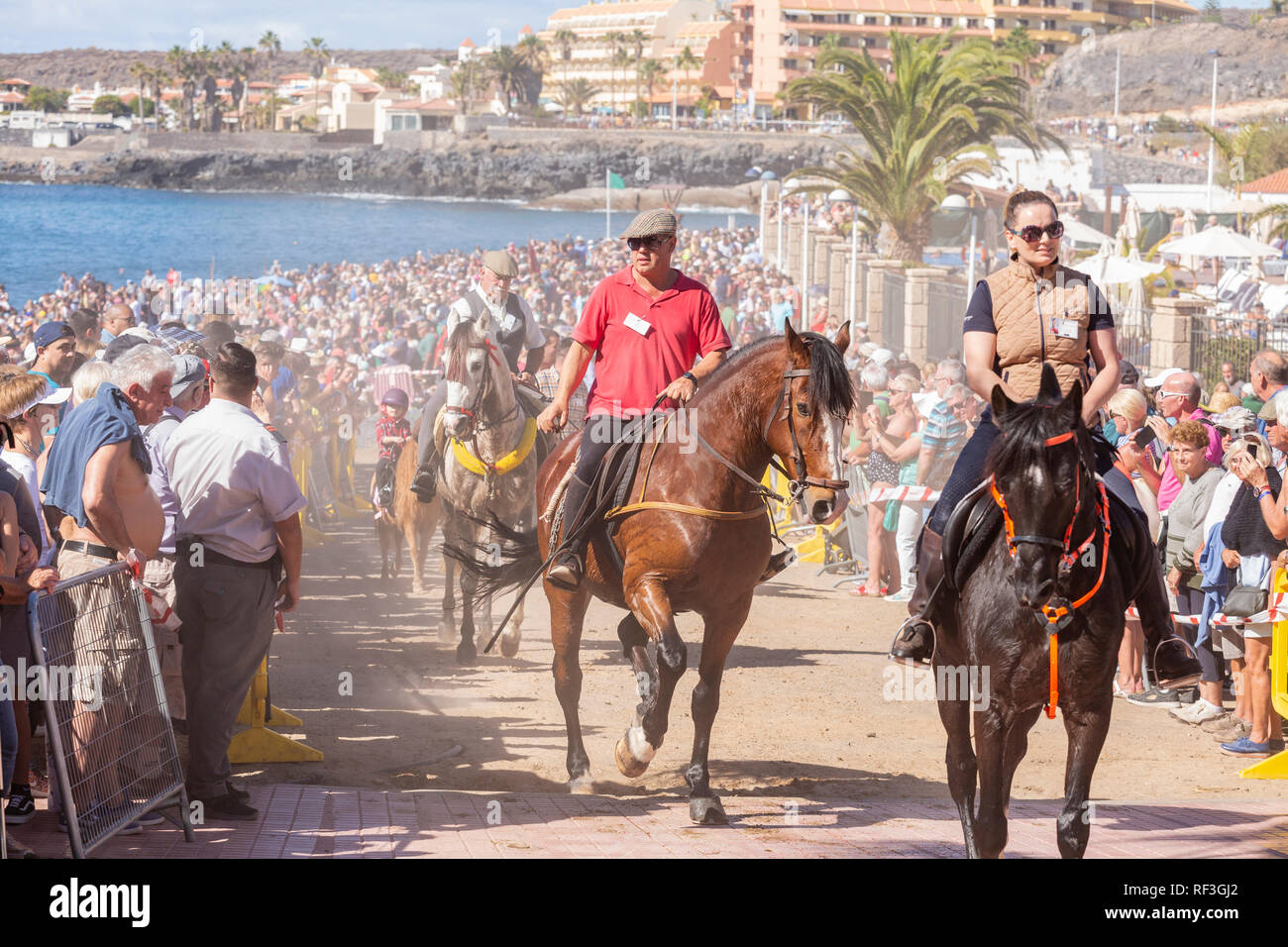 Horses and riders leaving the La Enramada beach after bathing their ...