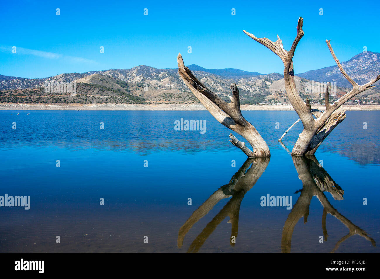 Isabella tree hi-res stock photography and images - Alamy