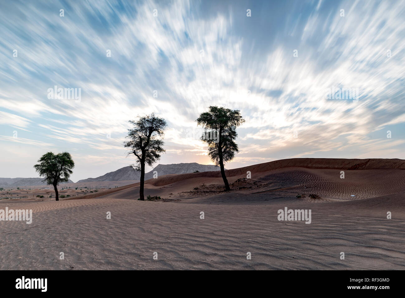 Beautiful Sunrise in Arabian Desert with Trees Stock Photo - Alamy