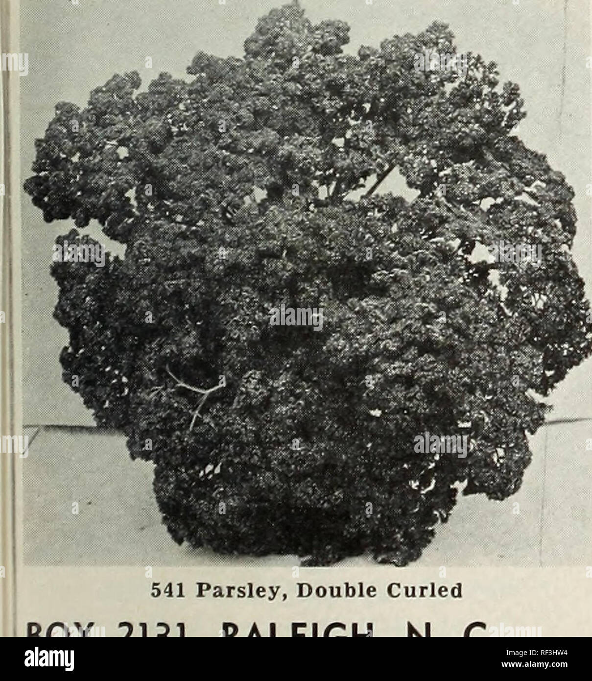 . [Catalog] : spring 1963. Nurseries (Horticulture) North Carolina ...