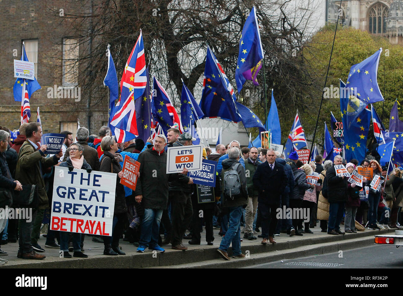 England, London, Westminster, Parliament Square, Brexit protest flags ...