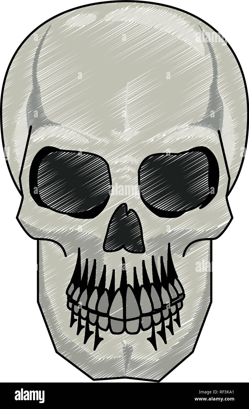 Skull Drawing Stock Photos & Skull Drawing Stock Images - Alamy