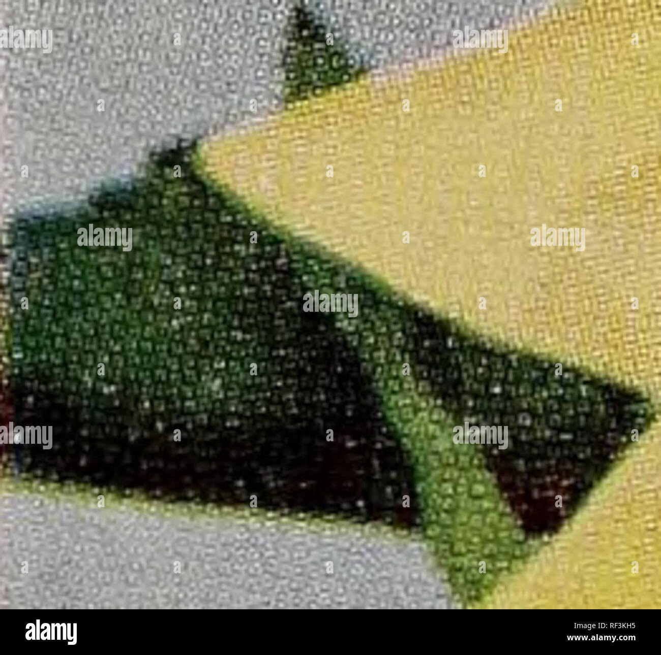 . Catalog of garden grandeur : fall 1959 spring 1960. Y KORDES PERFECTA ...