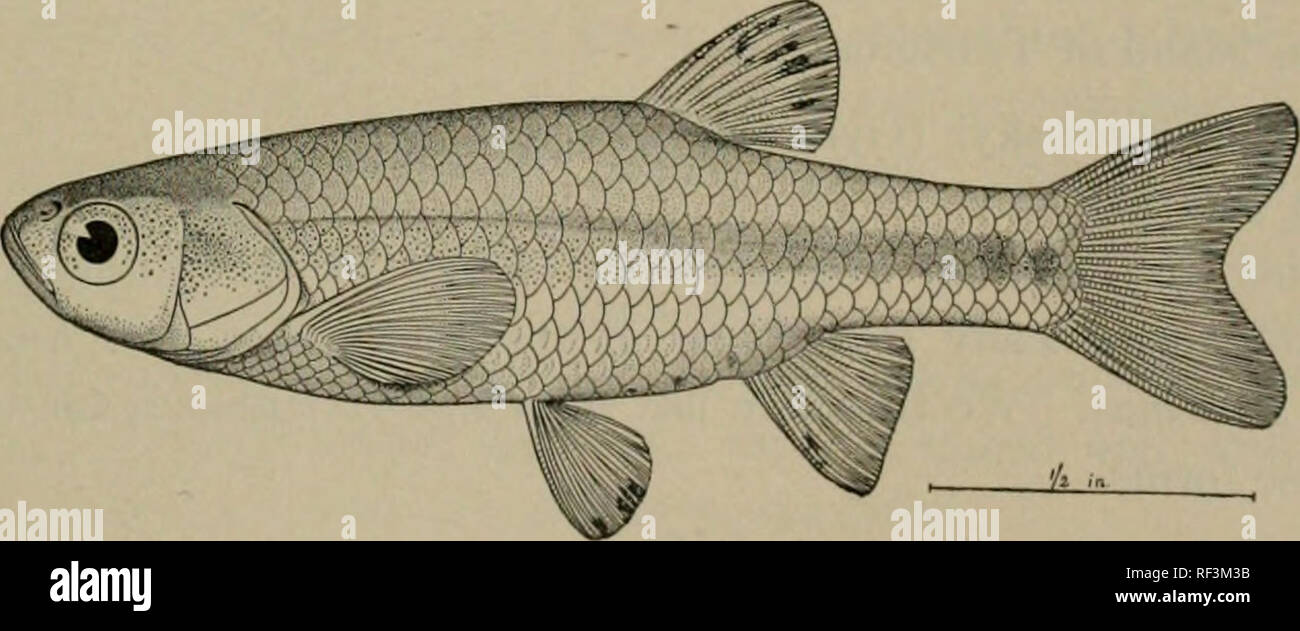 Korea 19c hi-res stock photography and images - Alamy