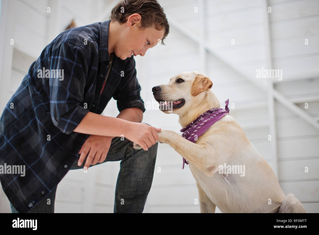 Boy loves dog hi-res stock photography and images - Alamy