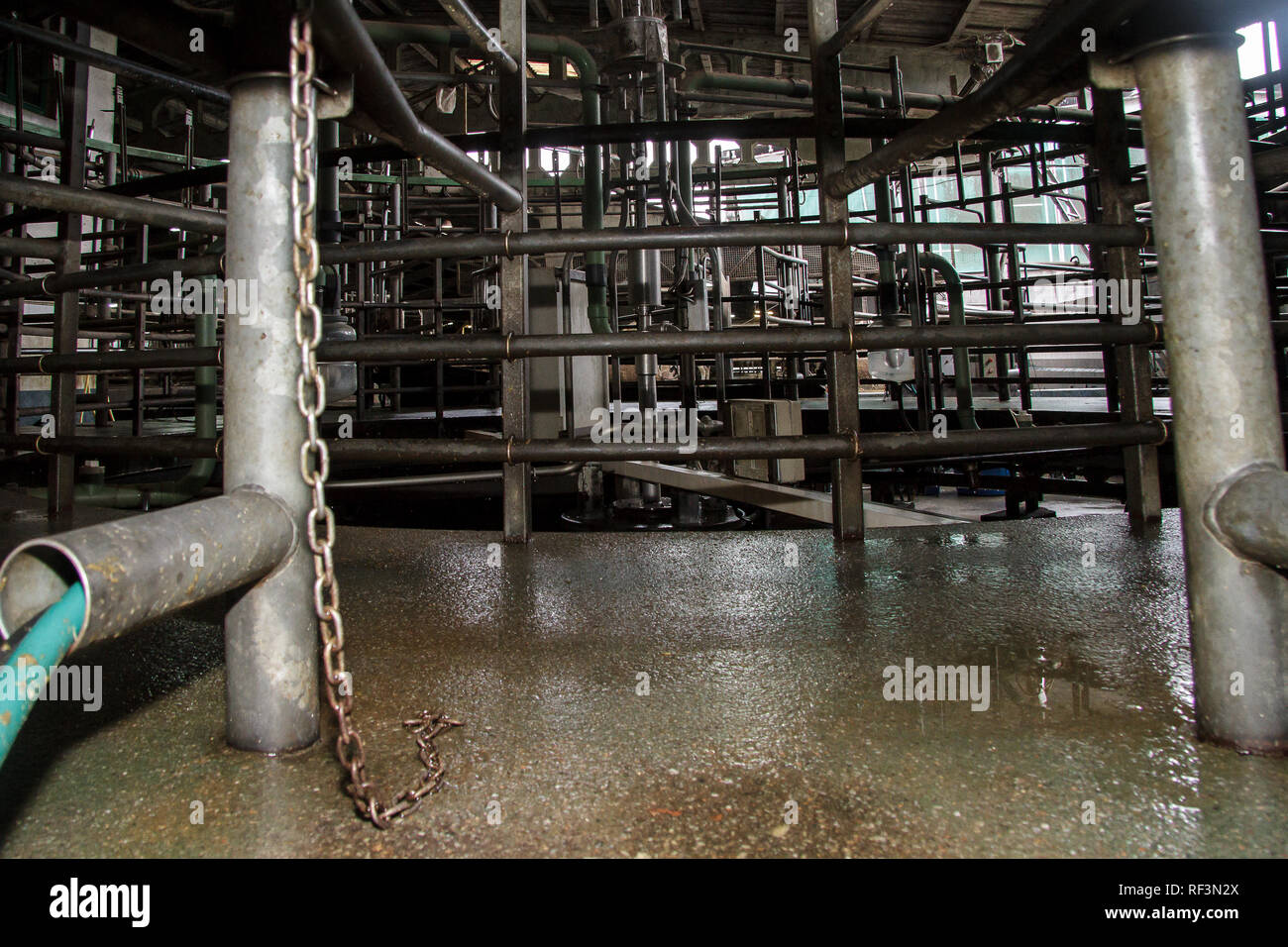 Explotacion intensiva hi-res stock photography and images - Alamy