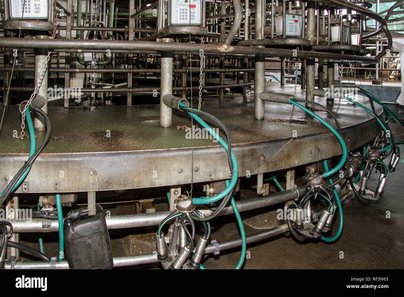 Ganado vacas lecheras hi-res stock photography and images - Alamy