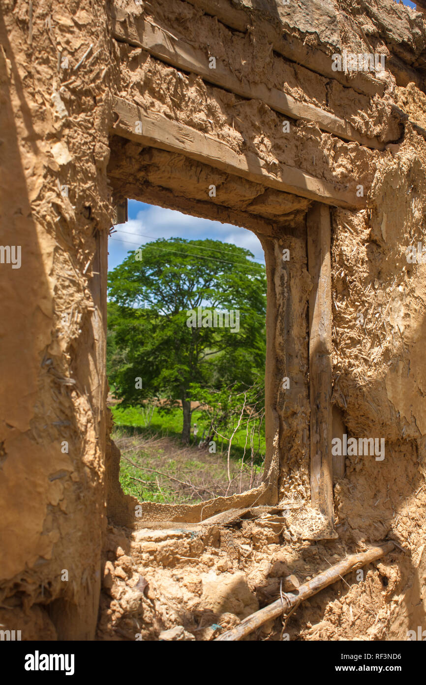 ruined mud house window with tree view Stock Photo - Alamy
