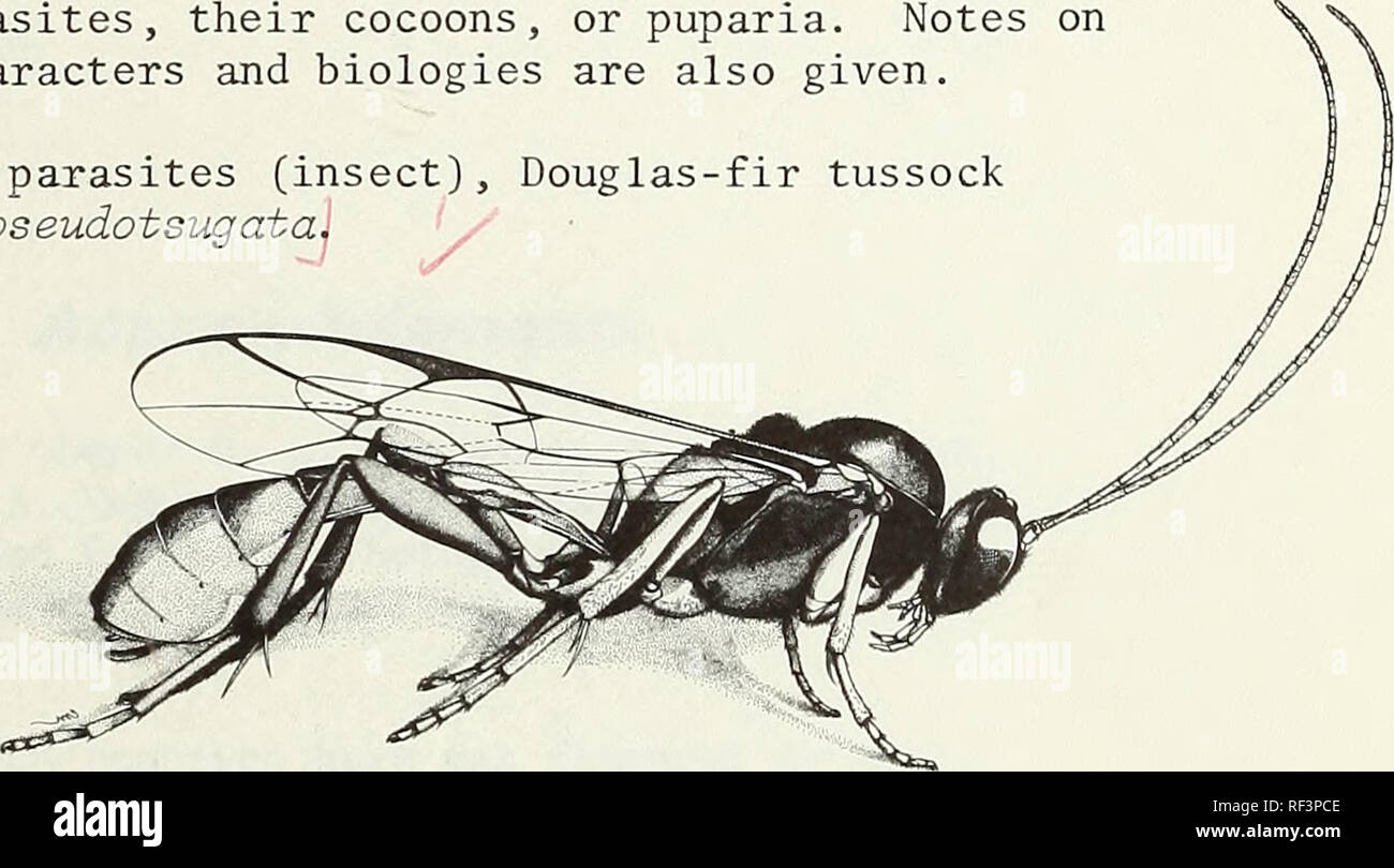 . Identification of parasites of the Douglas-fir tussock moth, based on ...