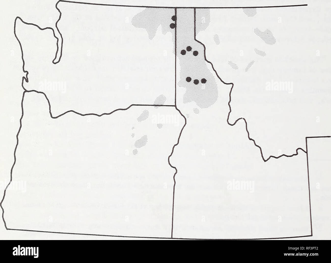 . Lumber yield from western white pine in northern Idaho. Lumber ...