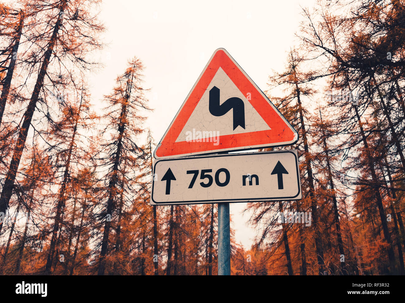 Road sign in autumn forest in the evening with vintage toning ...