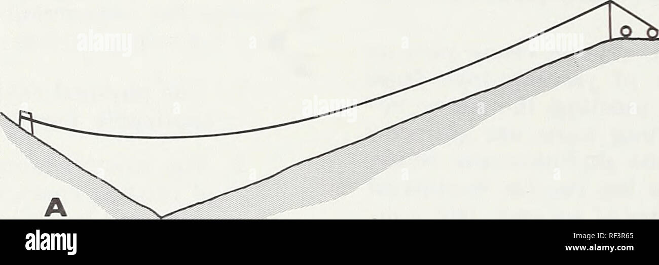 Concave plan hi-res stock photography and images - Alamy