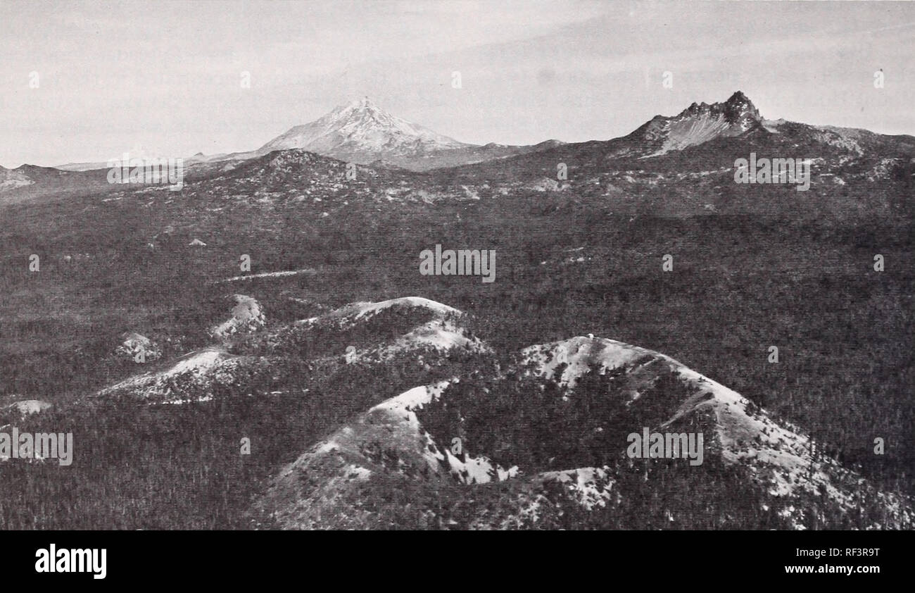 Podzolic soils hi-res stock photography and images - Alamy