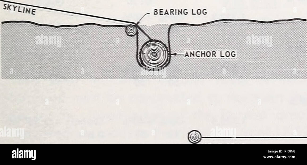 . Economics and design of a radio-controlled skyline yarding system ...