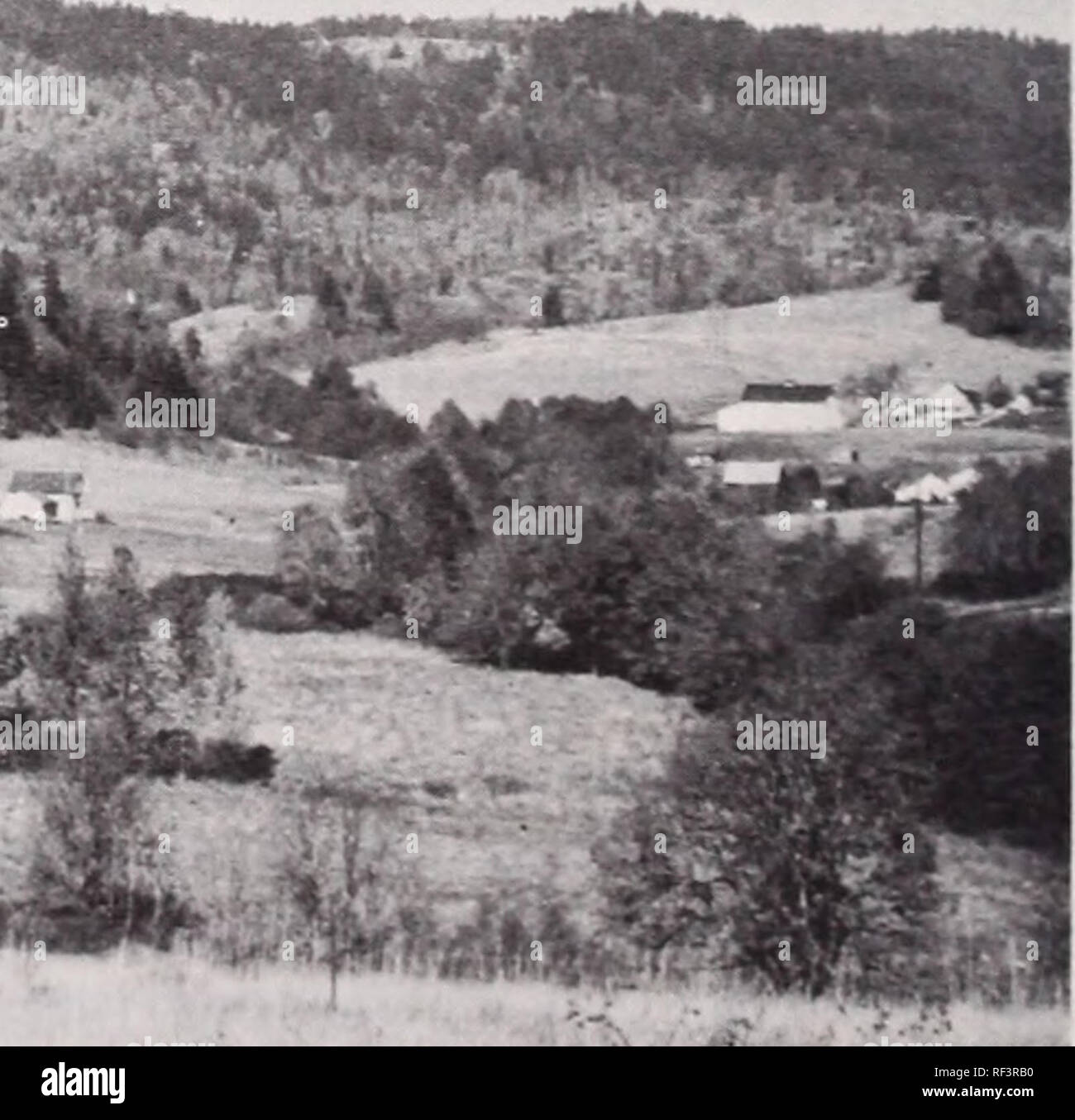 Podzol soil hi-res stock photography and images - Alamy