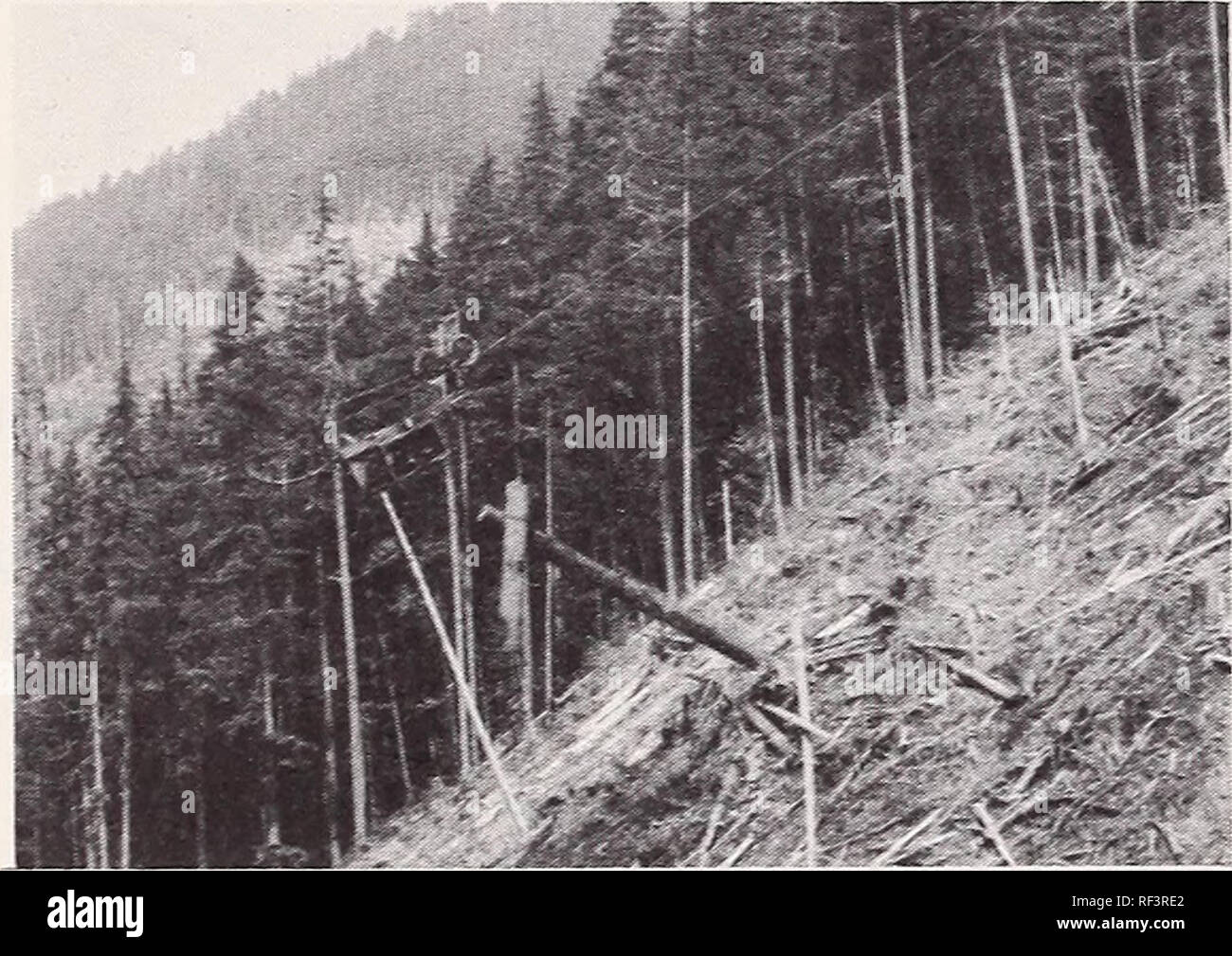 . Economics and design of a radio-controlled skyline yarding system ...