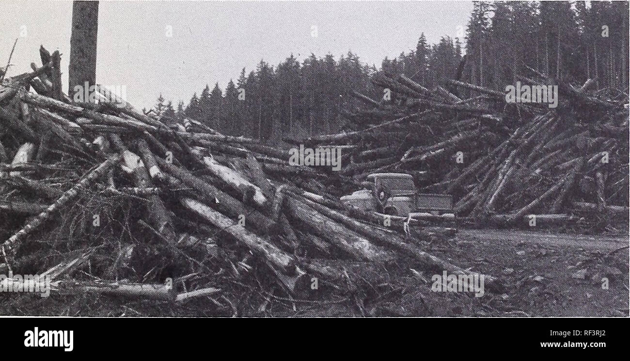 High Lead Logging High Resolution Stock Photography and Images - Alamy