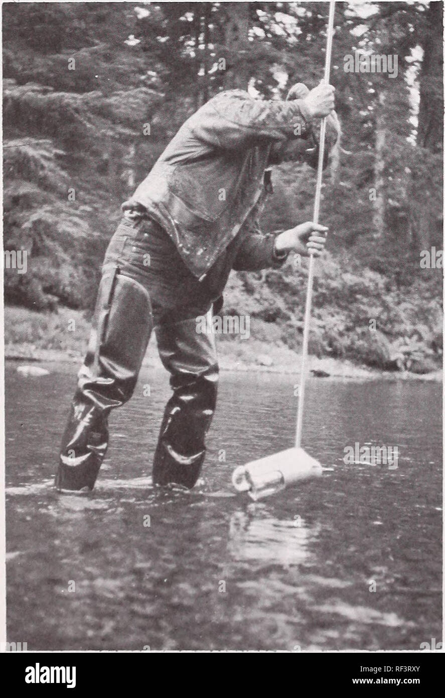 . Some effects of clearcutting on salmon habitat of two southeast ...