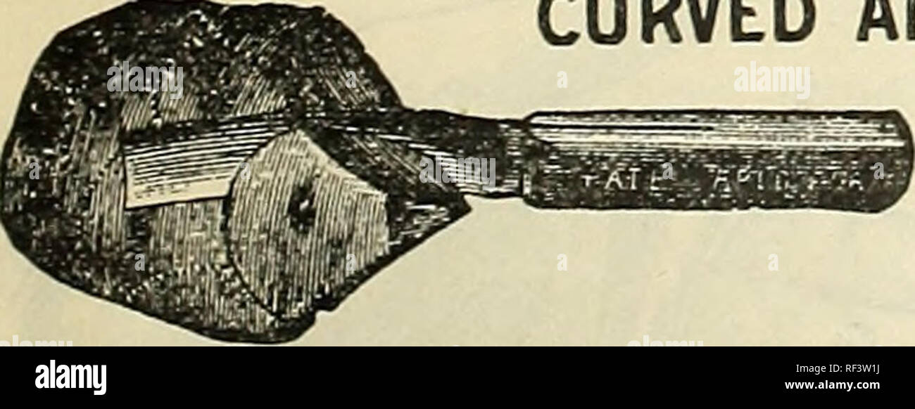 Curved potatoes hi-res stock photography and images - Alamy