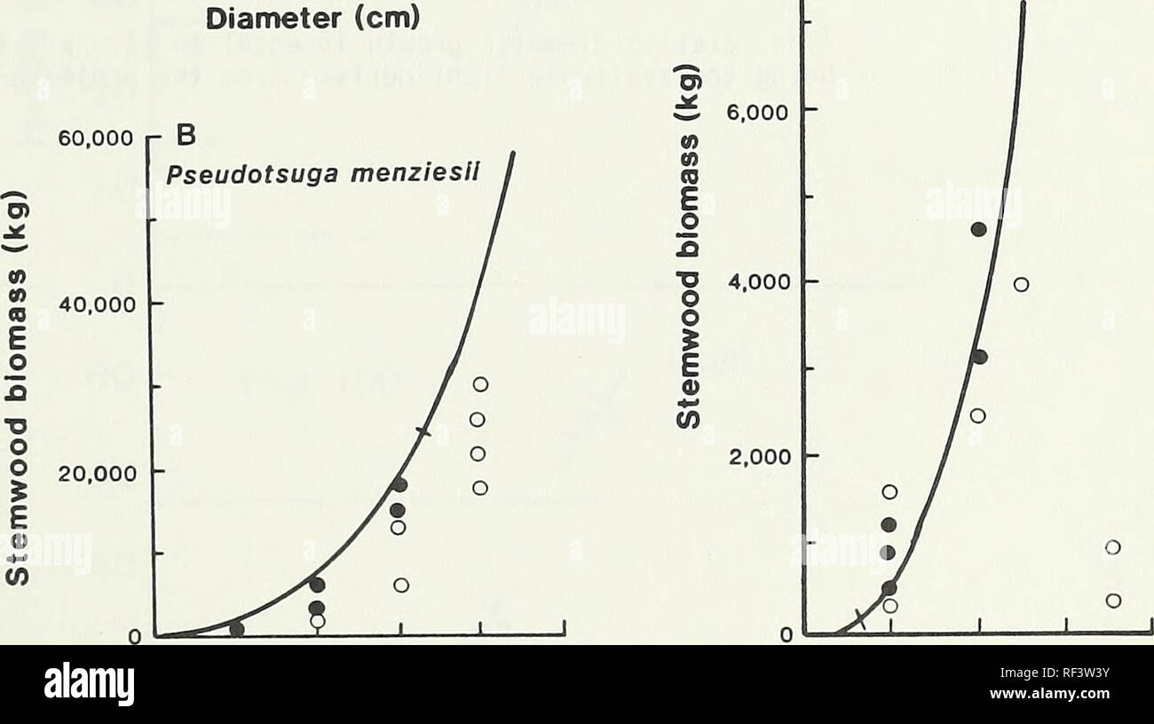 Stemwood hi-res stock photography and images - Alamy