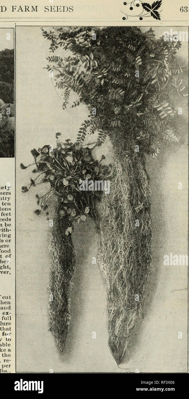 . 1901 Johnson & Stokes garden and farm manual. Nurseries (Horticulture ...