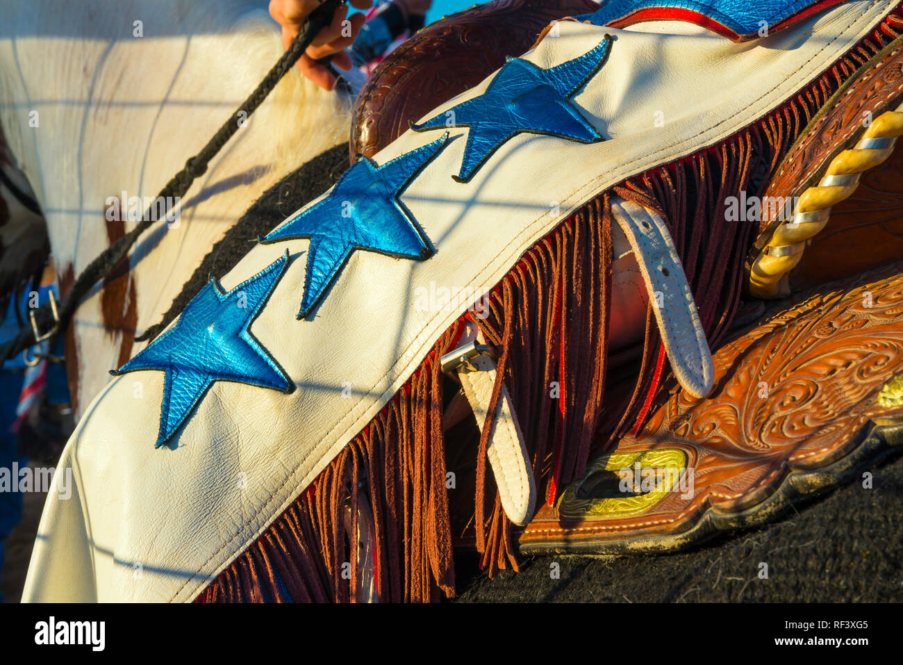 Lone star cowgirls western chaps with stars Stock Photo - Alamy