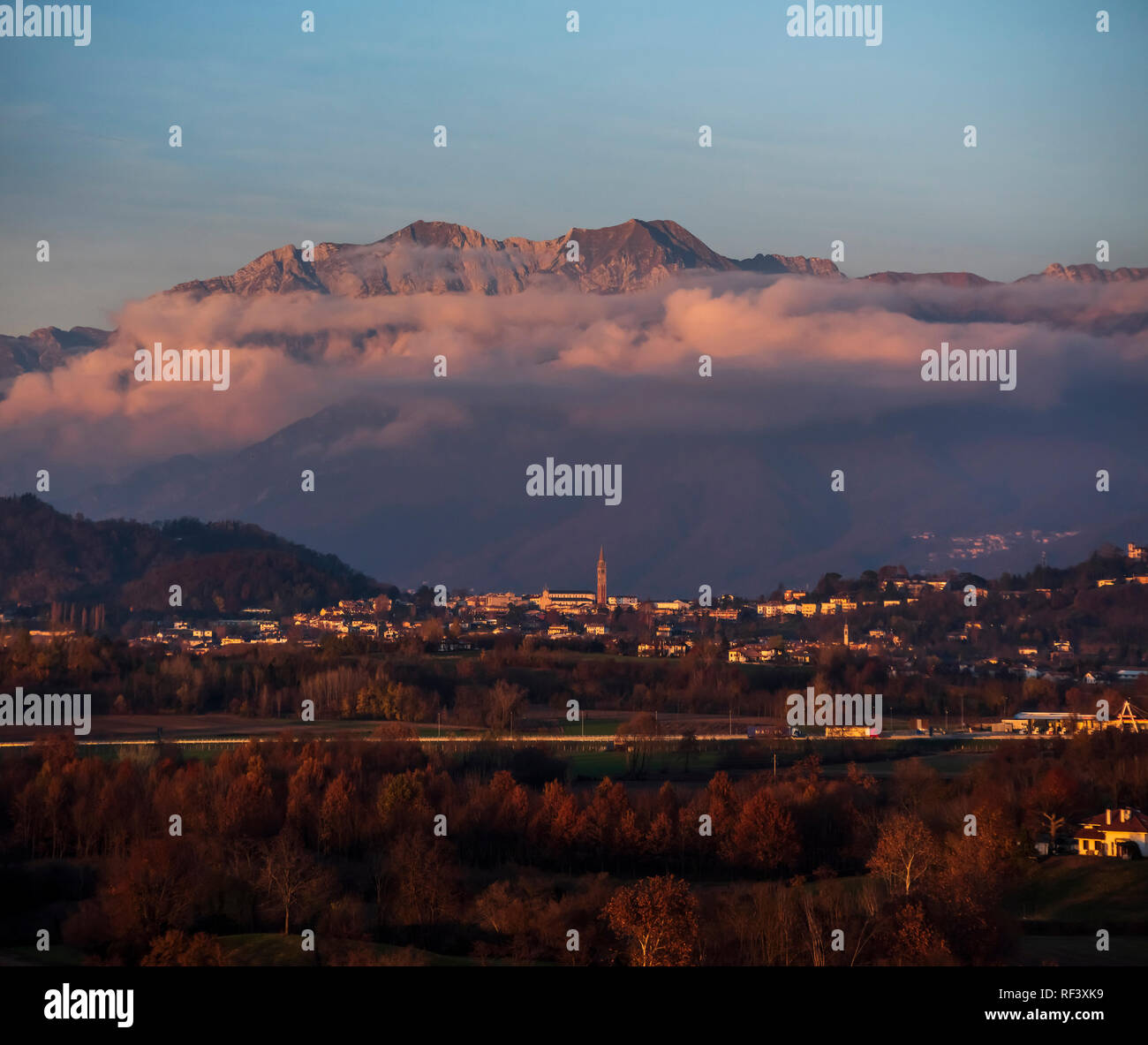 Buja hi-res stock photography and images - Alamy