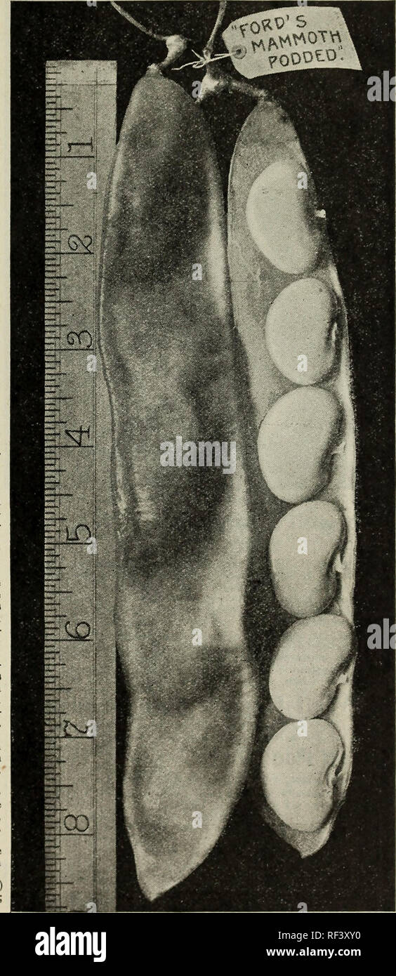 . 1901 Johnson & Stokes garden and farm manual. Nurseries (Horticulture ...