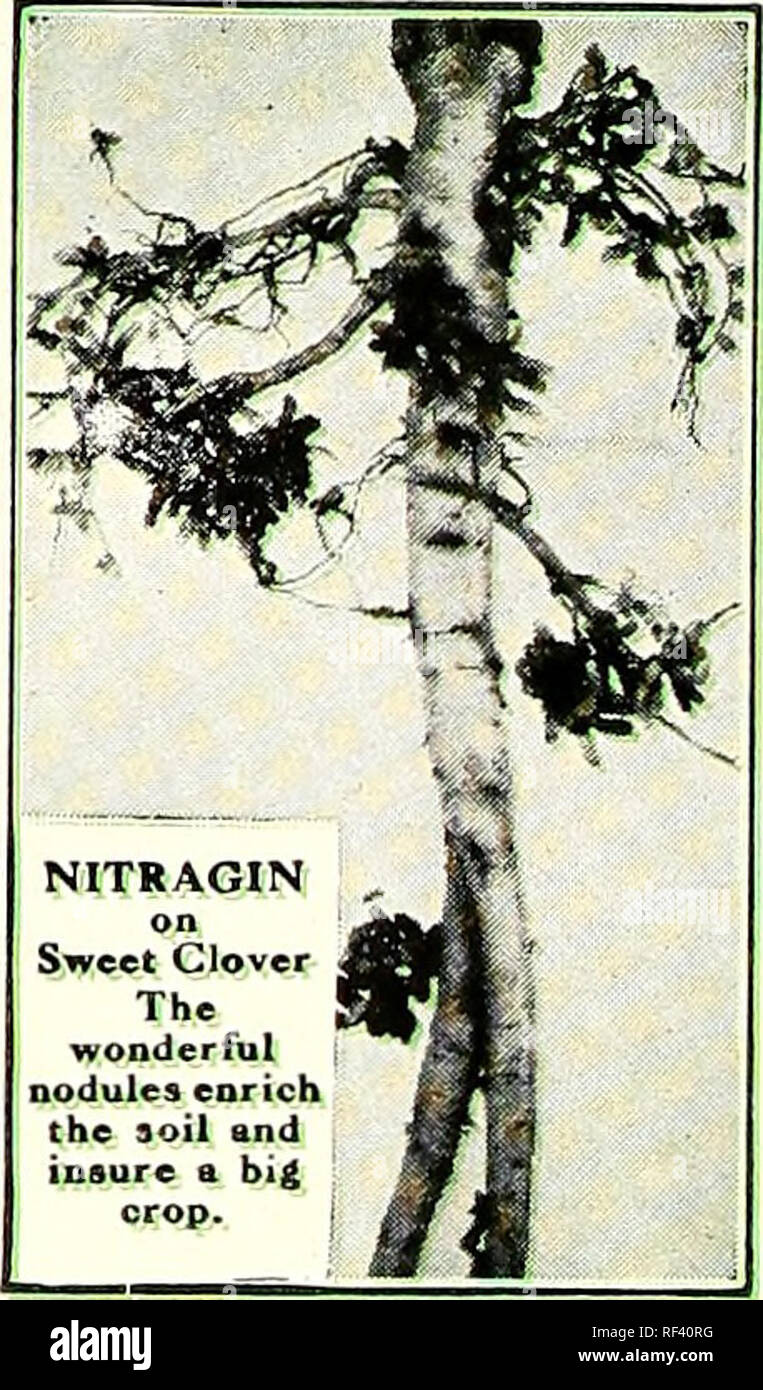 Adding humus to soil hi-res stock photography and images - Alamy