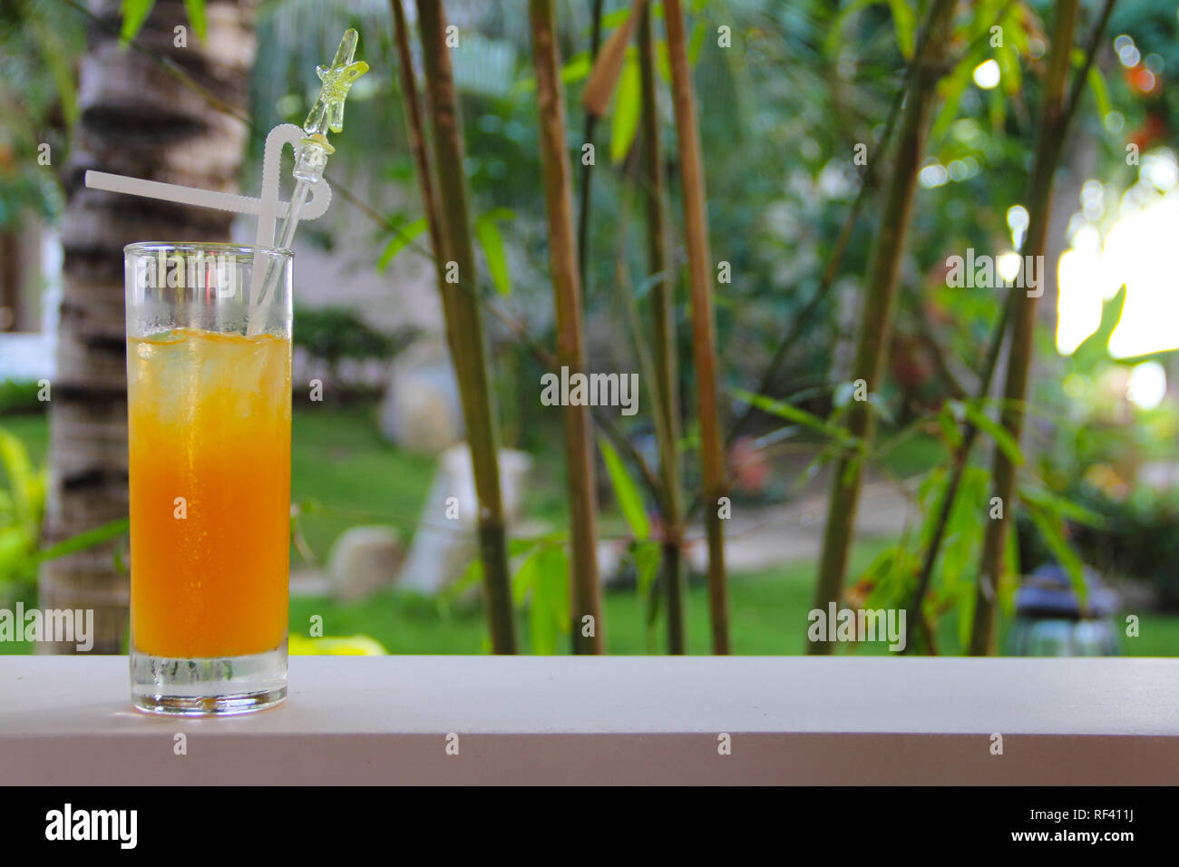 Glass with Freshly Pressed Tropical Fruits Juice over tropical forest ...