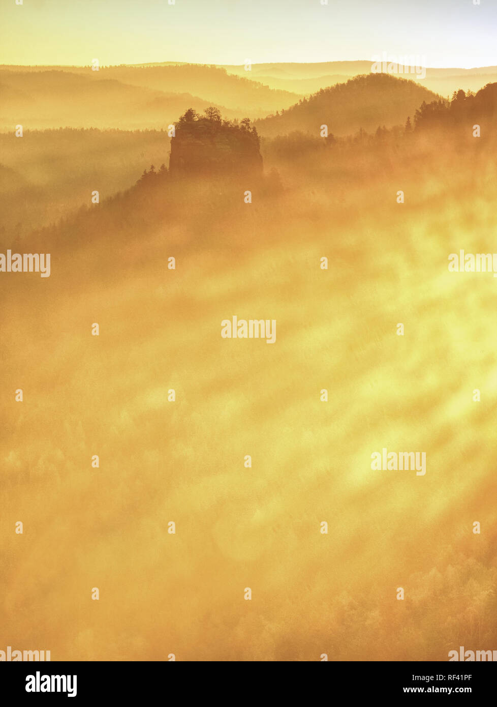 Beautiful Sunbeam through treetops of autumnal misty forest Stock Photo ...