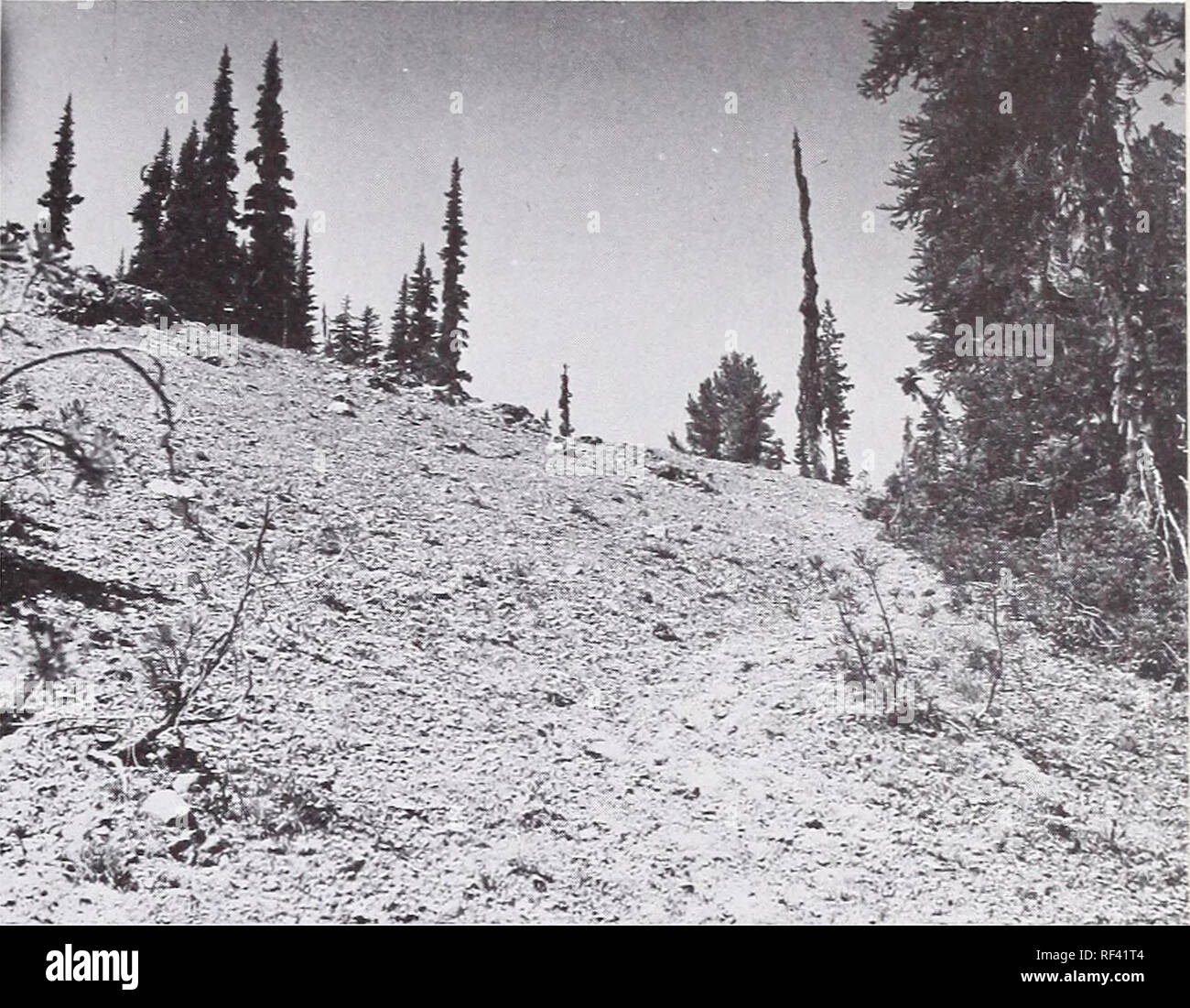. Vegetation of Oregon and Washington. Botany Oregon Ecology; Botany ...