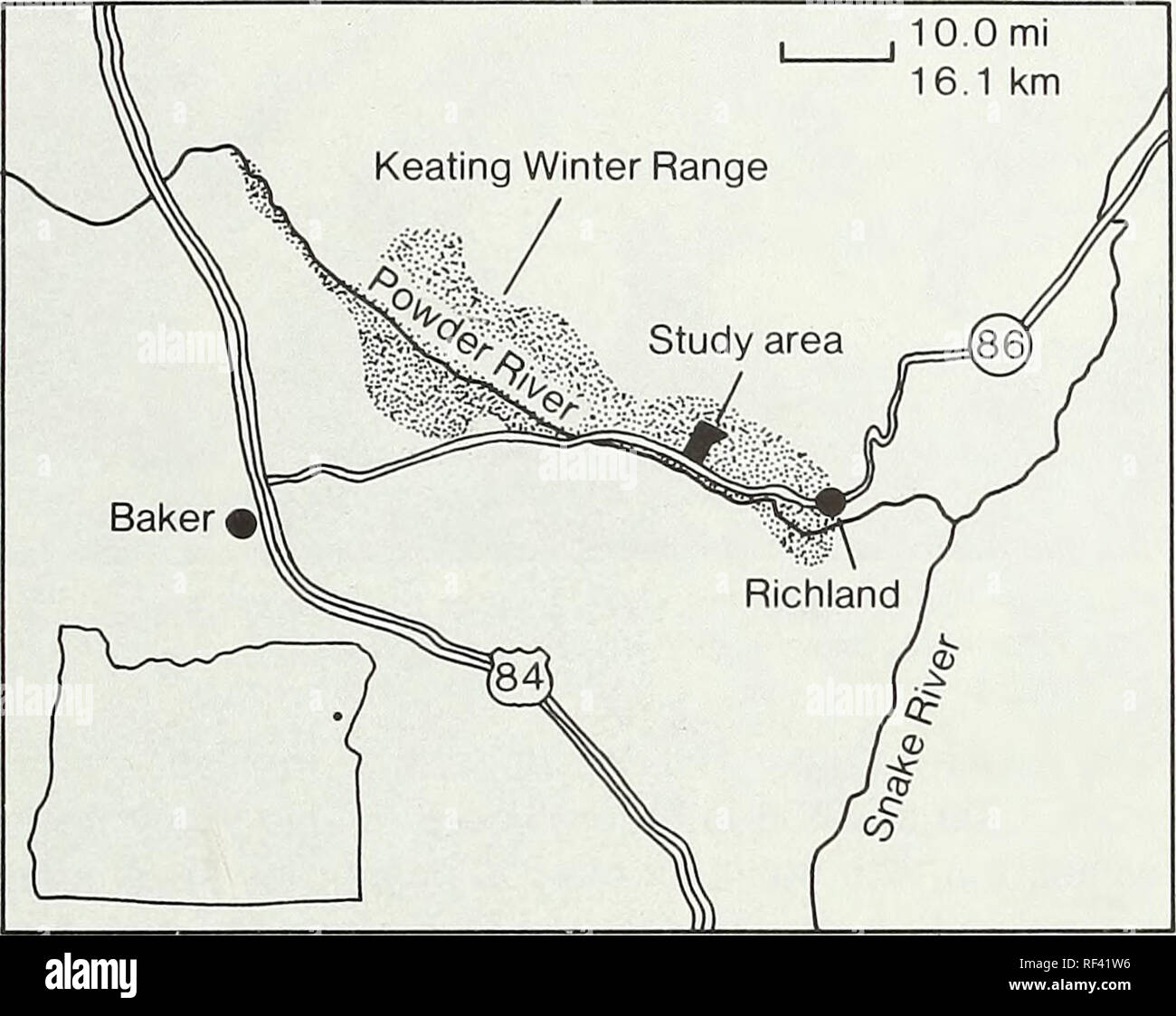 . Behavior of mule deer on the Keating Winter Range. Mule deer Oregon ...