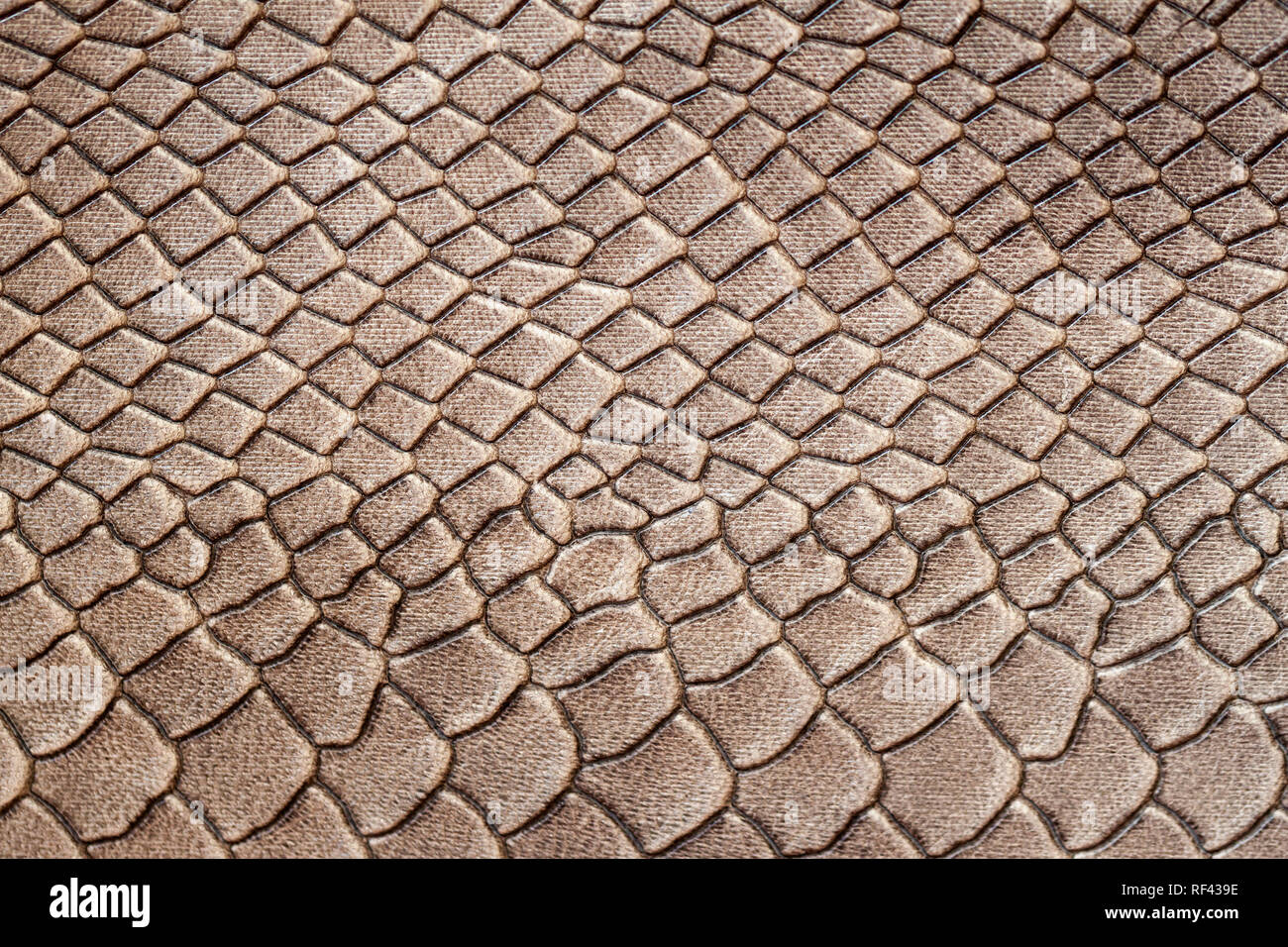 Abstract alligator patterned background. Texture of genuine leather ...