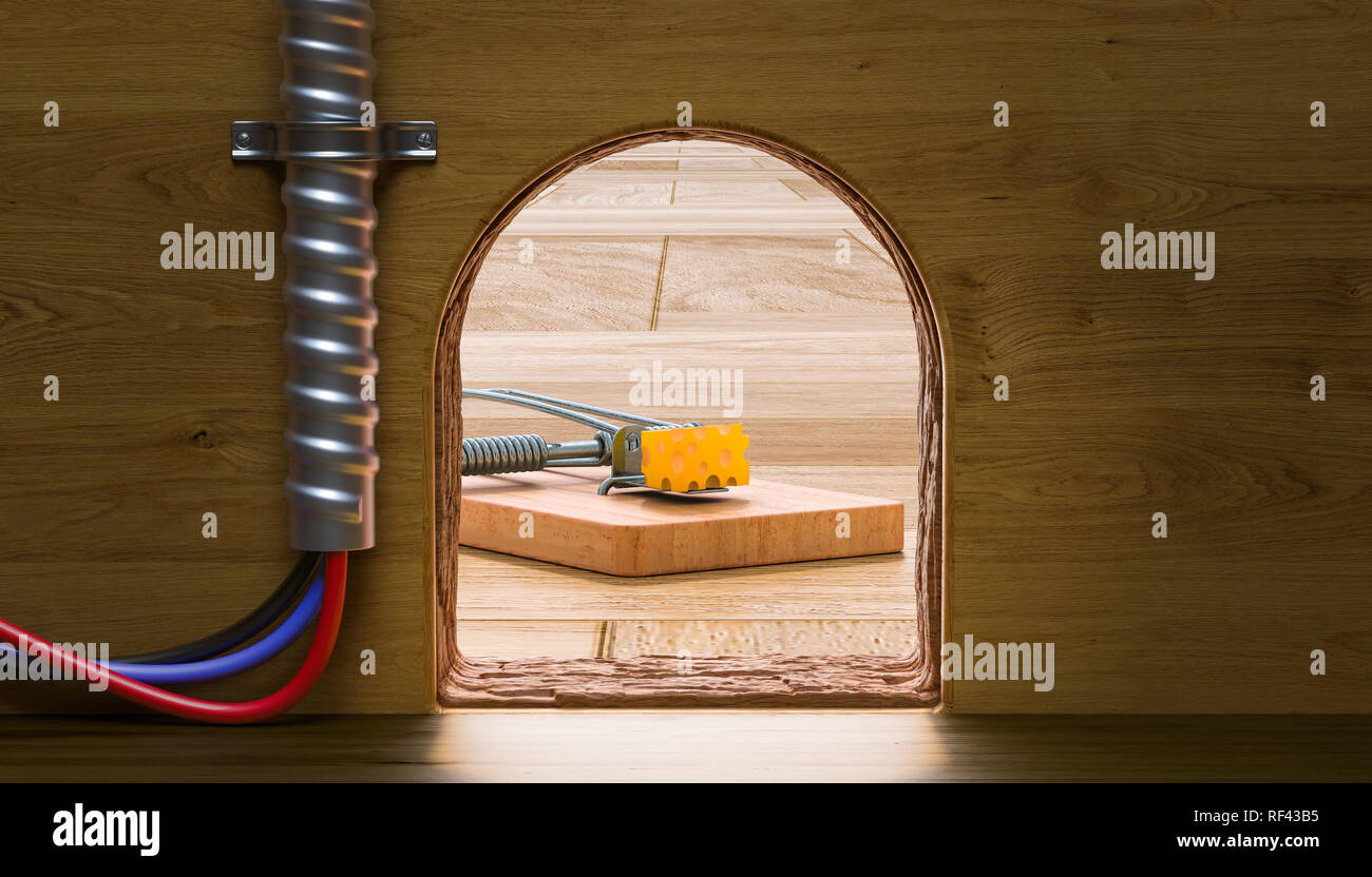 Mouse hole and mouse trap with cheese, 3D rendering Stock Photo - Alamy