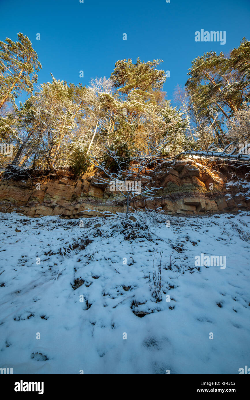 sun rising in heavy snow covered forest. first rays of light shining on ...