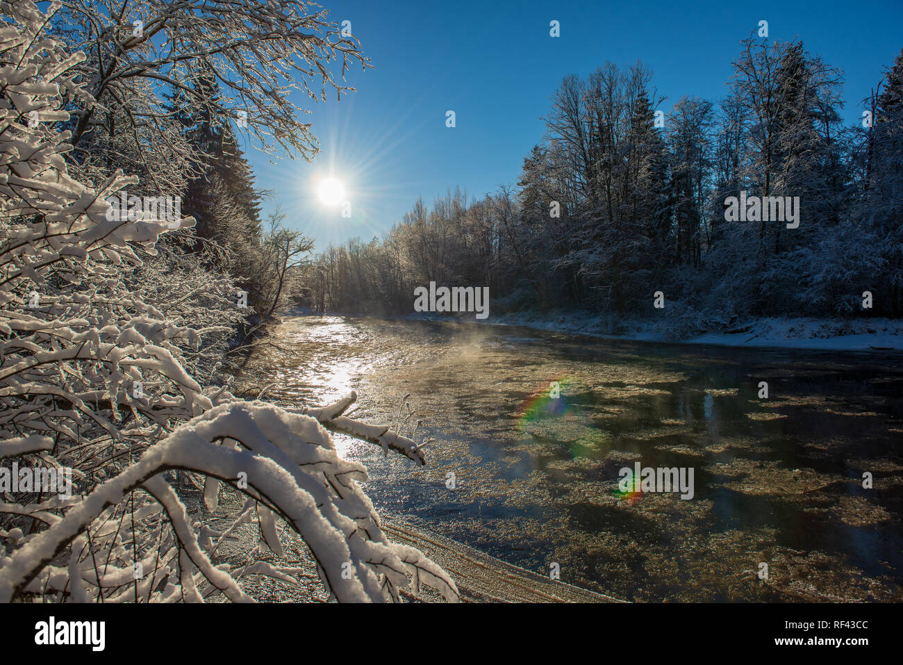 sun rising in heavy snow covered forest. first rays of light shining on ...
