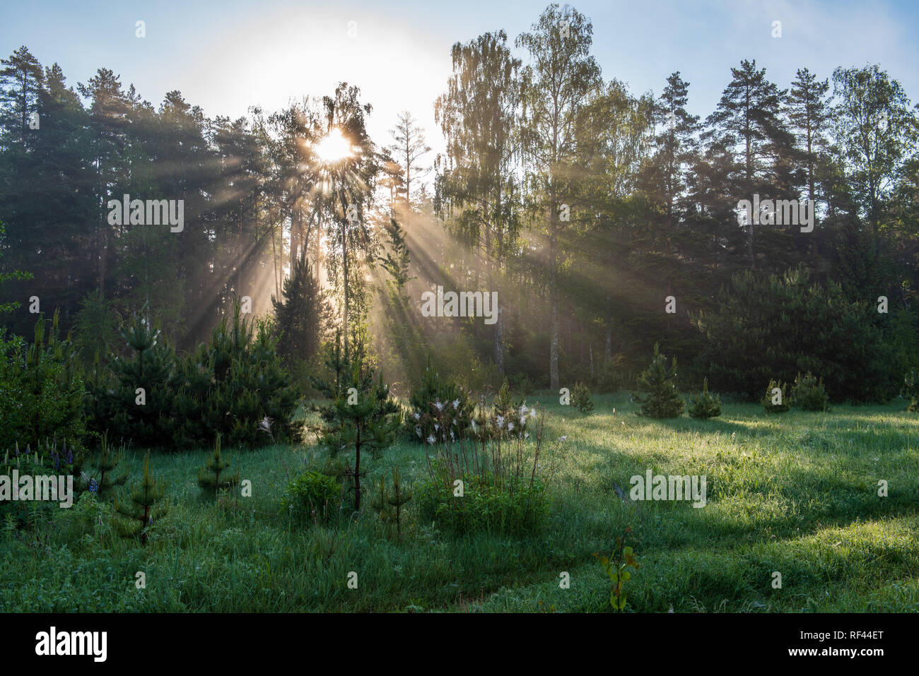 Light Shining Through Rain In High Resolution Stock Photography and ...