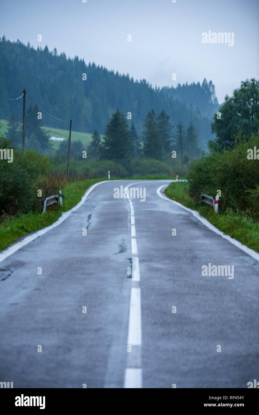 wavy asphalt road in mountain area in forest with fog covering trees ...