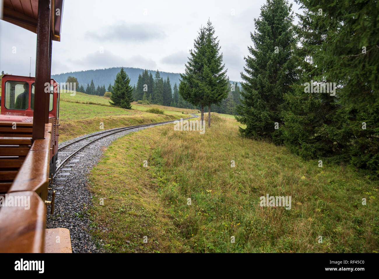 wavy log railway tracks in wet green forest with fresh meadows in ...