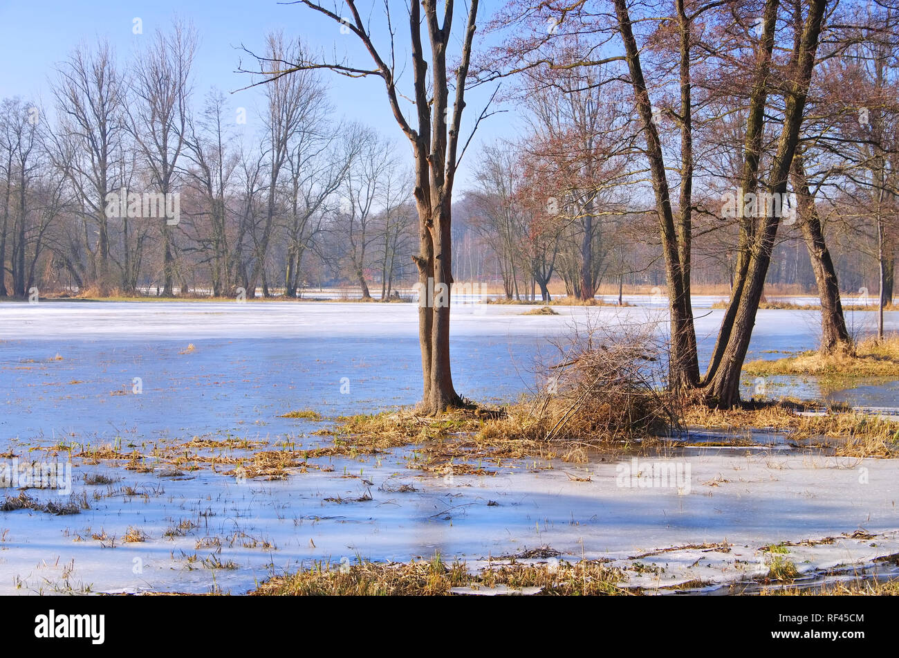 Spreewald lake forest landscape hi-res stock photography and images - Alamy