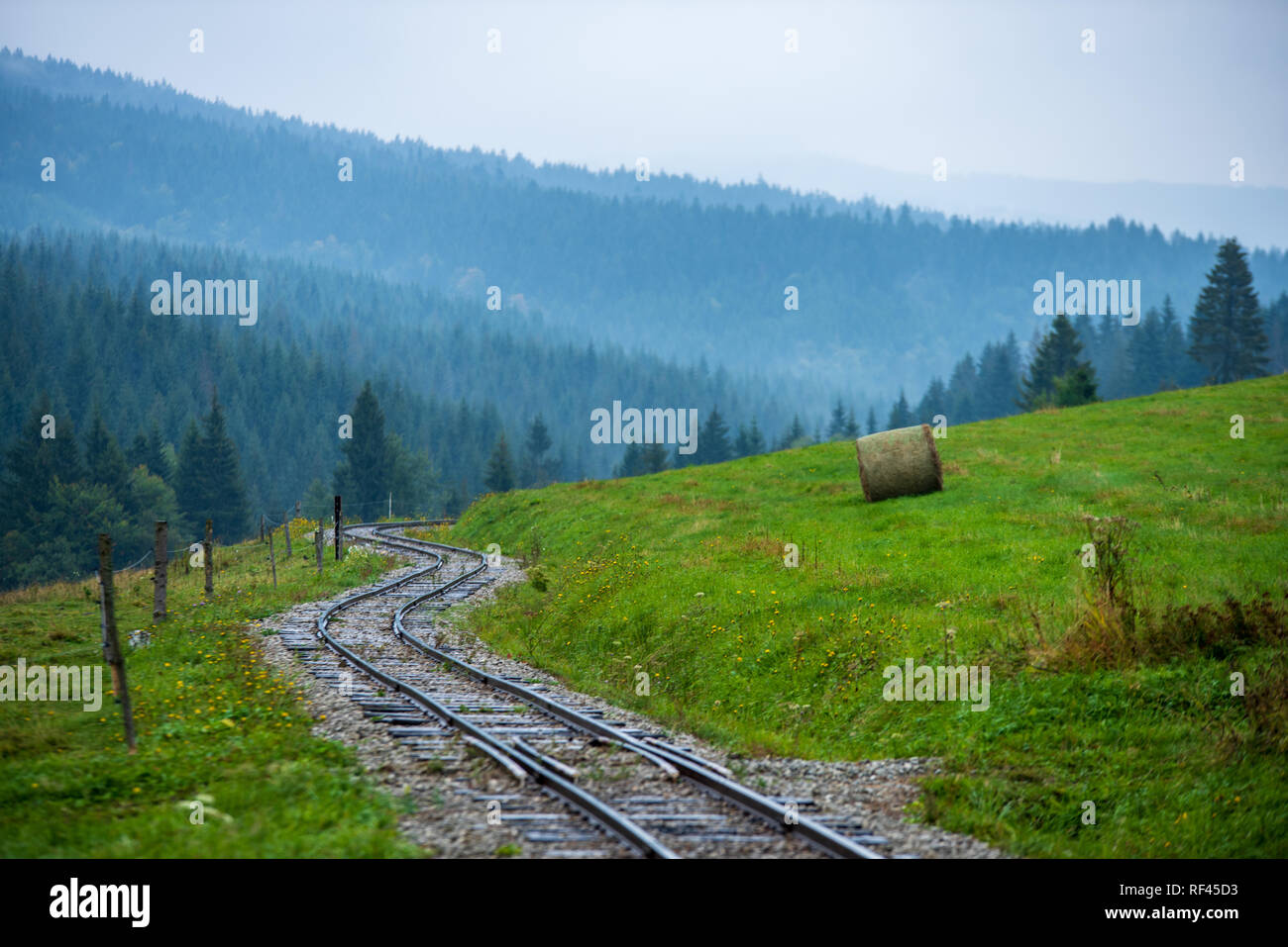 wavy log railway tracks in wet green forest with fresh meadows in ...