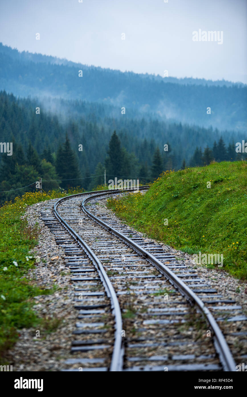 wavy log railway tracks in wet green forest with fresh meadows in ...