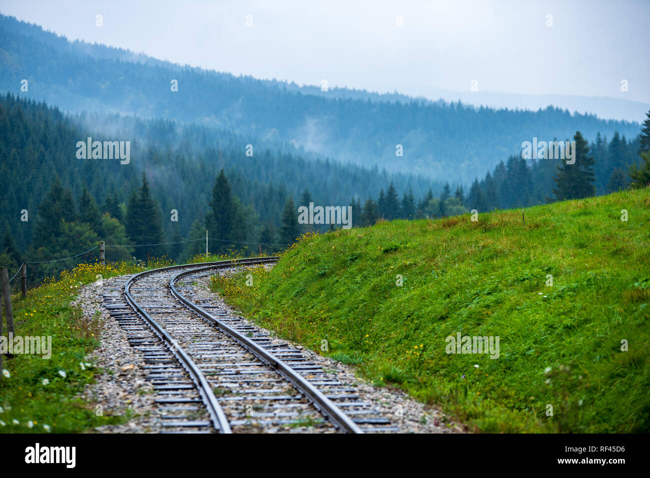 wavy log railway tracks in wet green forest with fresh meadows in ...