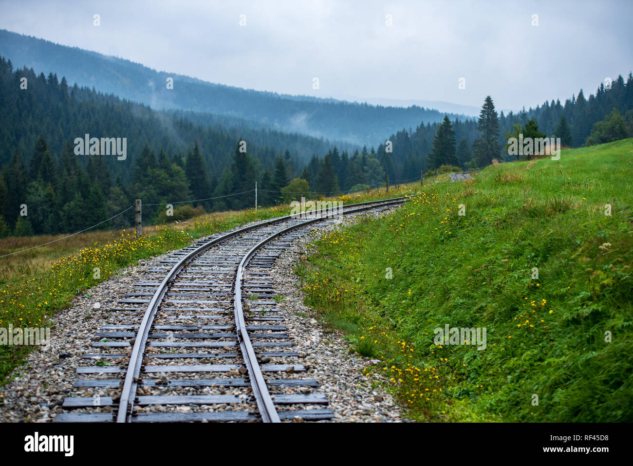 wavy log railway tracks in wet green forest with fresh meadows in ...