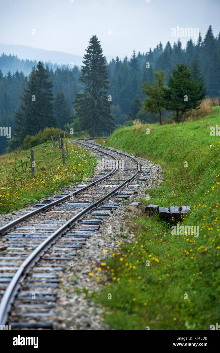 wavy log railway tracks in wet green forest with fresh meadows in ...