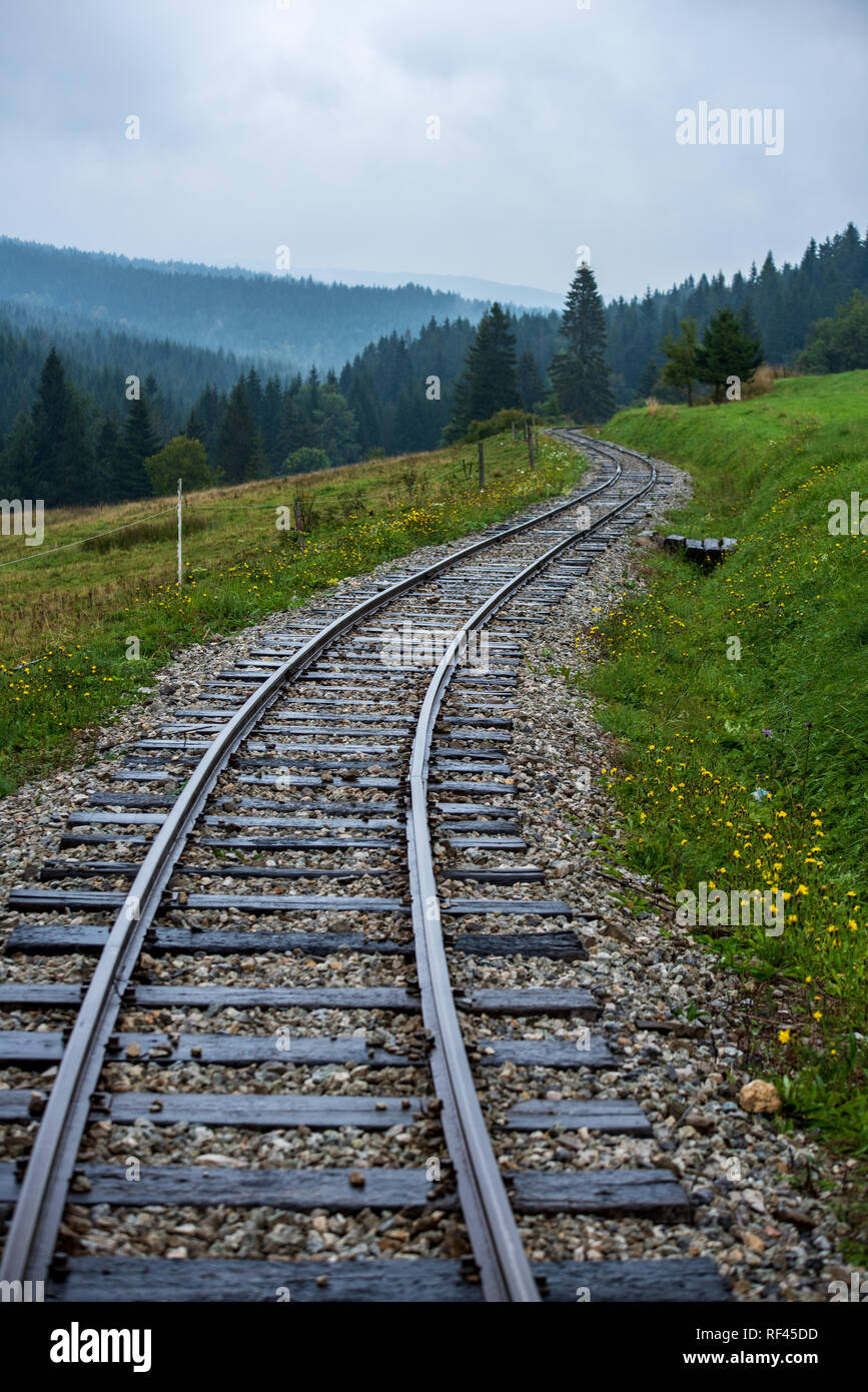 wavy log railway tracks in wet green forest with fresh meadows in ...