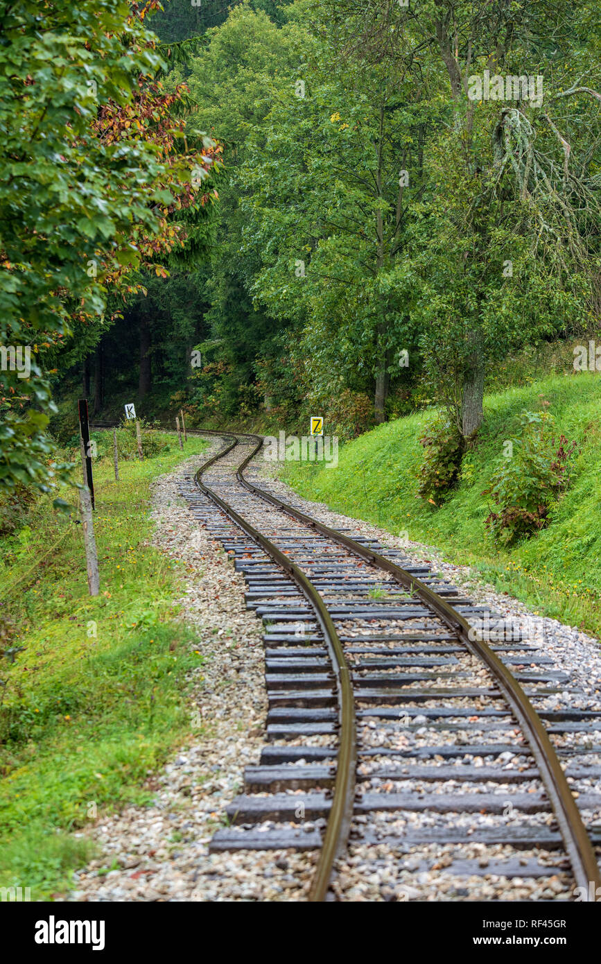 wavy log railway tracks in wet green forest with fresh meadows in ...
