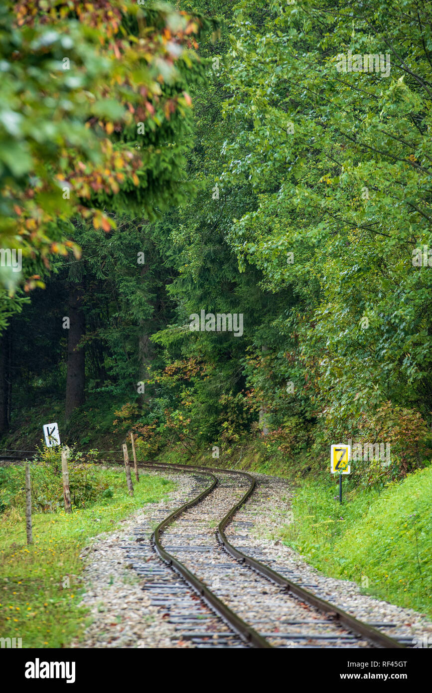 wavy log railway tracks in wet green forest with fresh meadows in ...